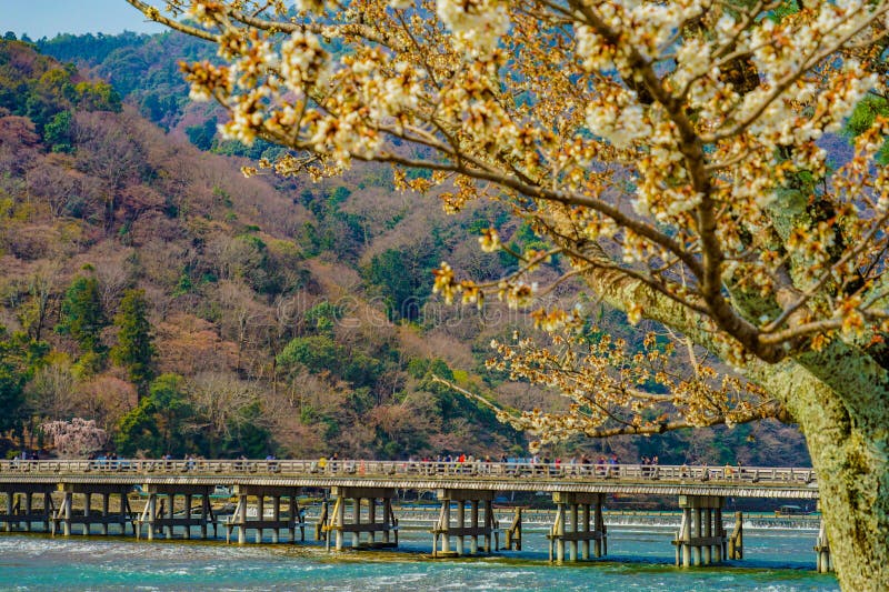 Togetsu Bridge (Kyoto) stock image. Image of kyoto, japan - 272310331