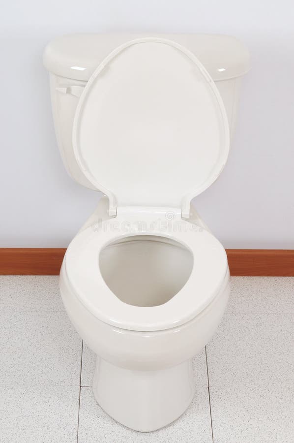 Toilet stock photo. Image of homes, throne, bathrooms, home - 676524