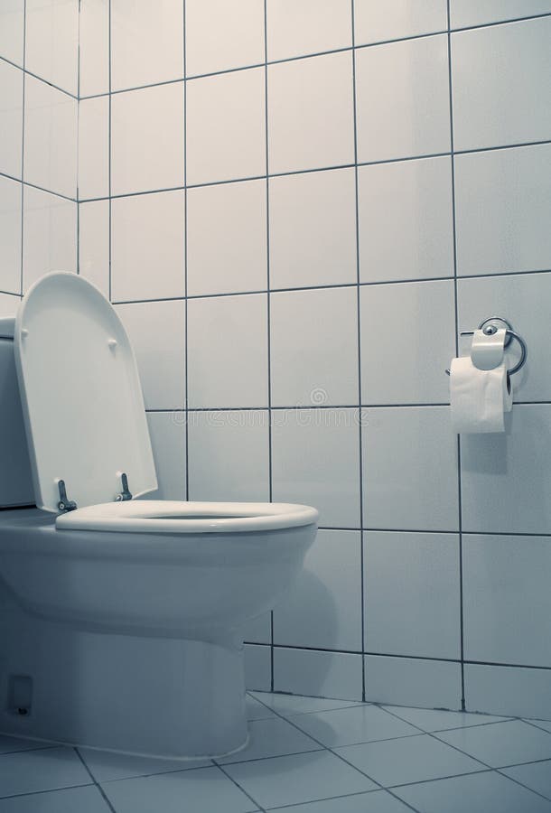 Toilet stock photo. Image of domestic, privacy, household - 1306446