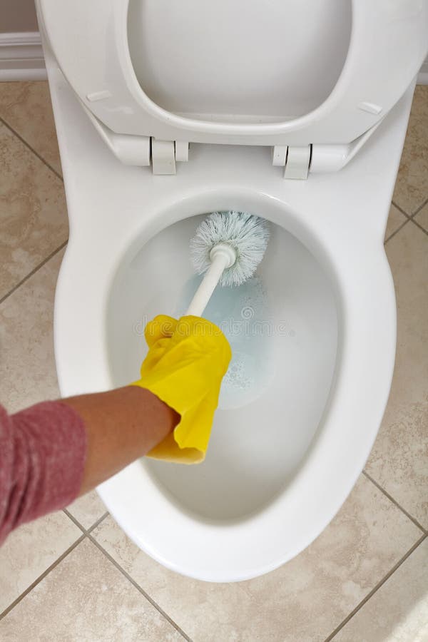 Toilet bowl cleaning. stock photo. Image of cleanup, people - 85720346
