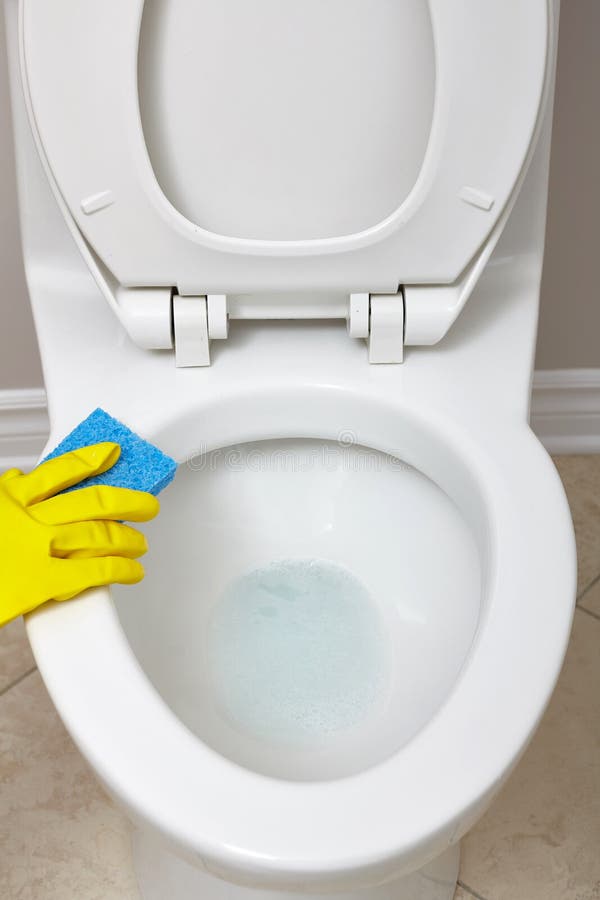 Toilet bowl cleaning. stock photo. Image of cleanup, people - 85720346