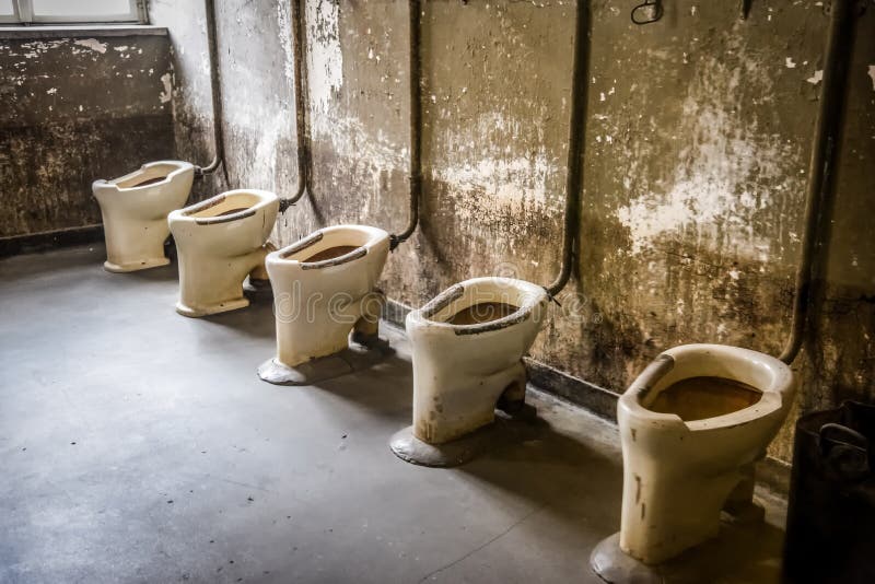 Latrine stock image. Image of pail, tree, lavatory, latrine - 18790833 Latrine stock image. Image of pail, tree, lavatory, latrine - 18790833