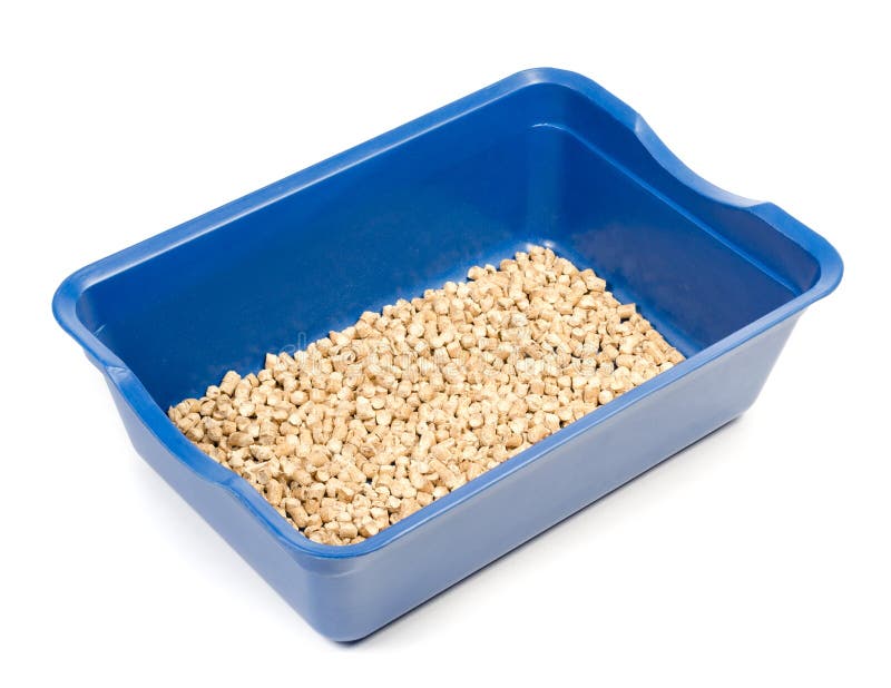 Cat Using Toilet, Cat in Litter Box, for Pooping or Urinate, Pooping in ...