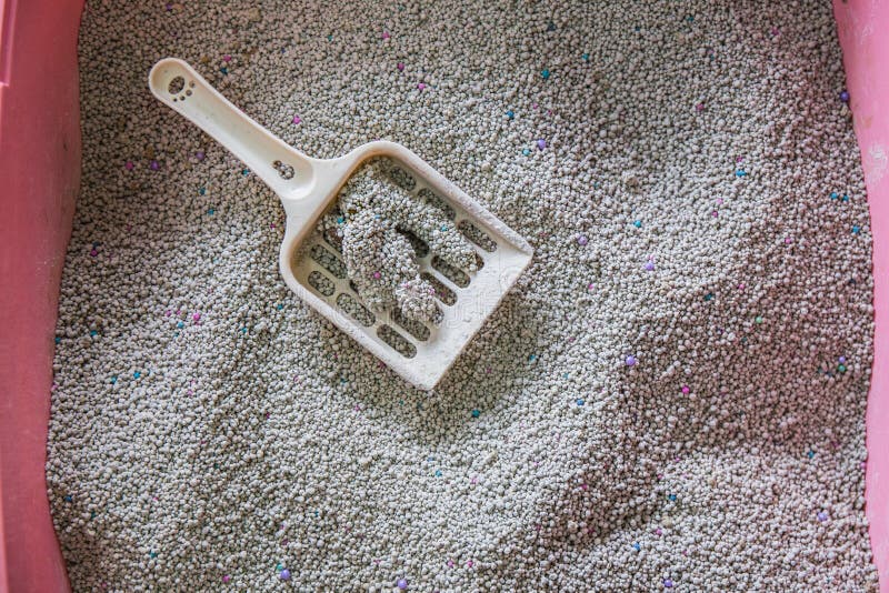 Toilet Cat Cleaning Sand Cat in a Litter Box Stock Illustration ...