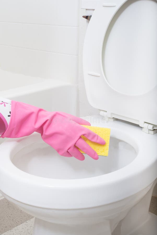 Flush toilet. Cleaning stock image. Image of interior - 13306595