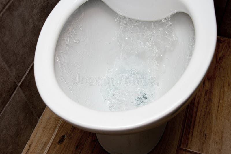 Toilet while Flushing Urine with Water. a Stream of Water in the Toilet ...