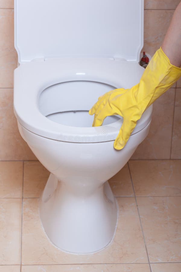 Toilet hygiene concept stock image. Image of hotel, protective - 25761247
