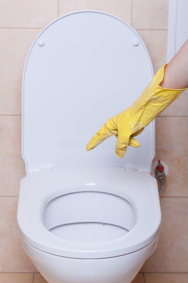 Toilet hygiene concept stock image. Image of hotel, protective - 25761247