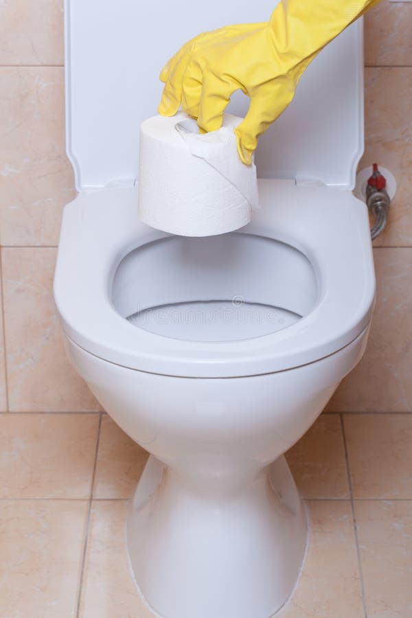 Toilet hygiene concept stock photo. Image of clean, indoor - 23994706