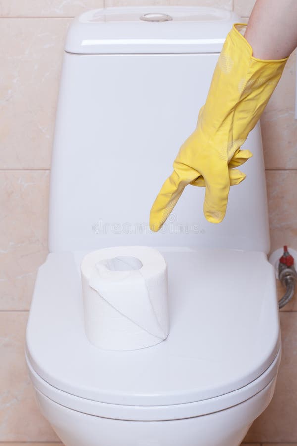 Toilet hygiene concept stock image. Image of hotel, protective - 25761247