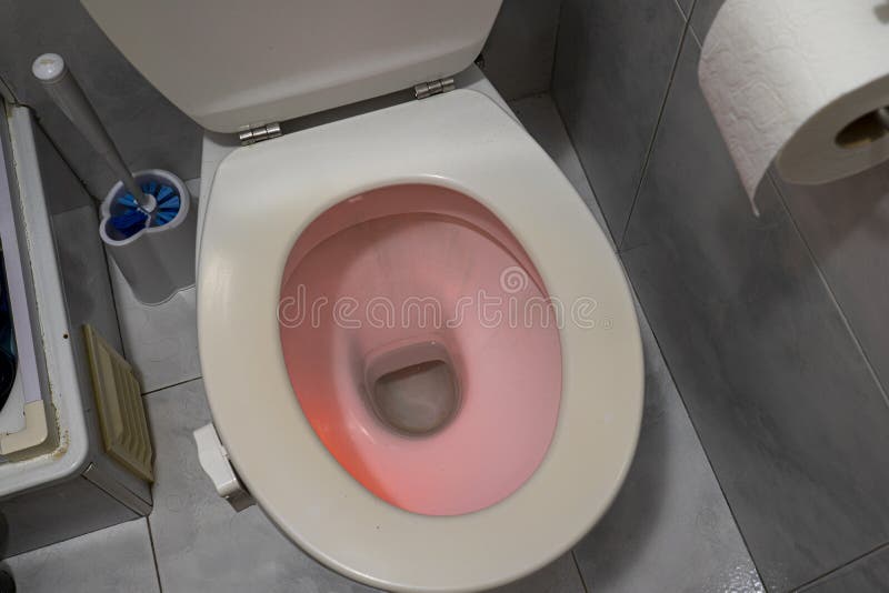 Toilet Illuminated with Red Light Inside by Means of a Device Installed ... Toilet Illuminated with Red Light Inside by Means of a Device Installed ...