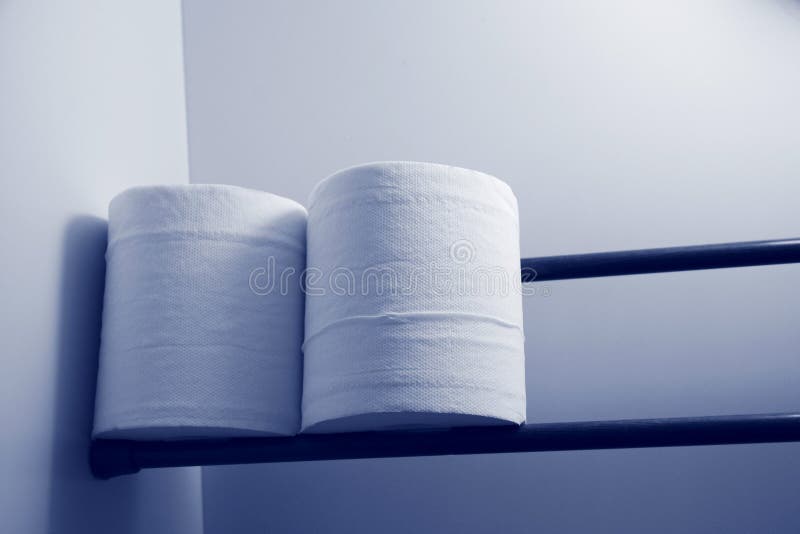 Toilet paper. stock image. Image of washroom, john, tissue - 113555