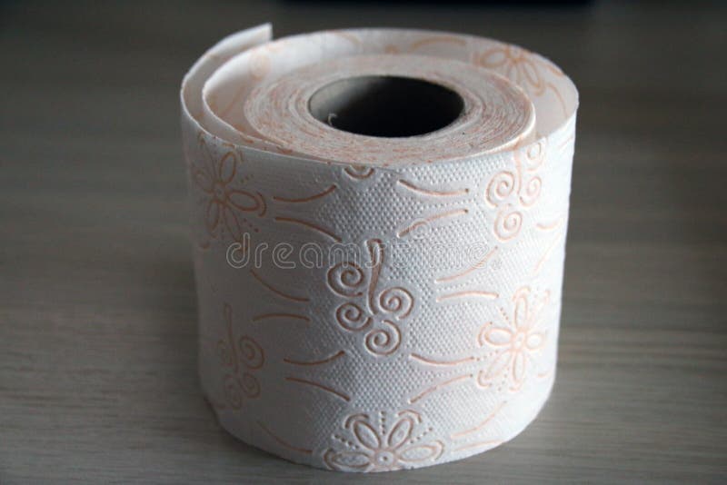 Toilet paper stock photo. Image of layer, cleaning, paper - 69893730