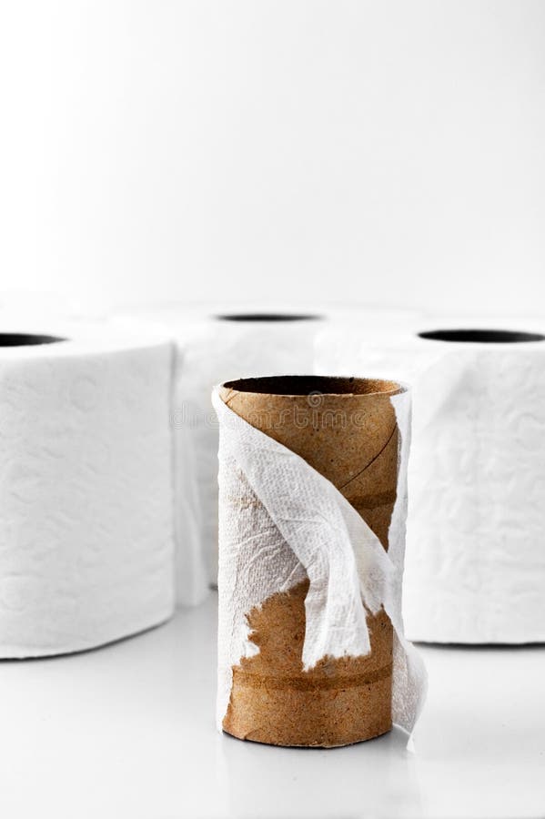 Toilet paper roll stock photo. Image of paper, hygiene - 3824460