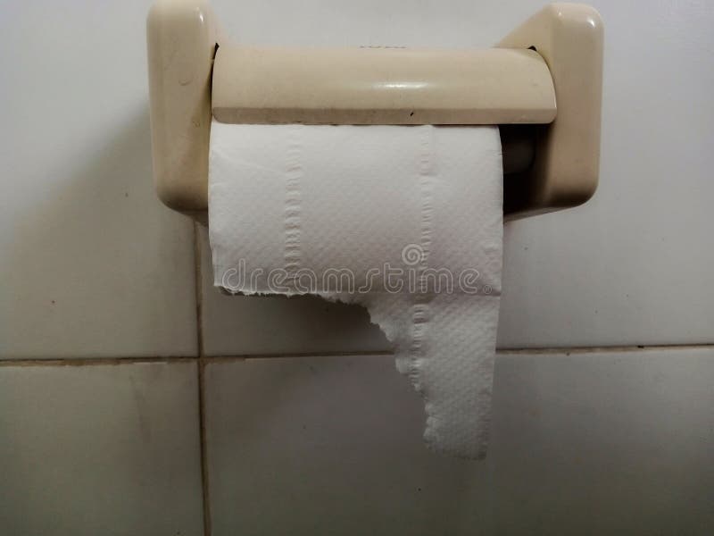 Toilet Paper Roll Photographed from the Front Stock Photo - Image of ...