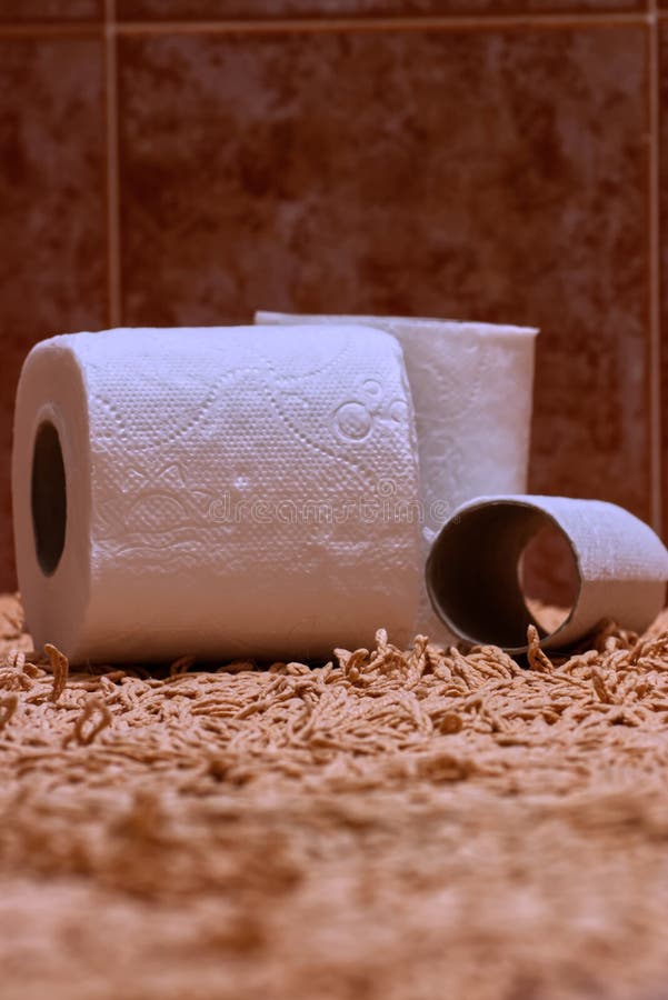 Toilet Paper Rolls on a Carpet Stock Photo - Image of hygienic ...