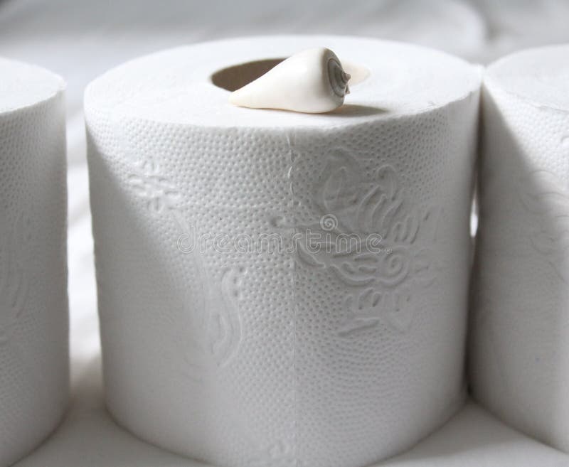 Toilet paper stock image. Image of bathroom, toilet, white - 95212313