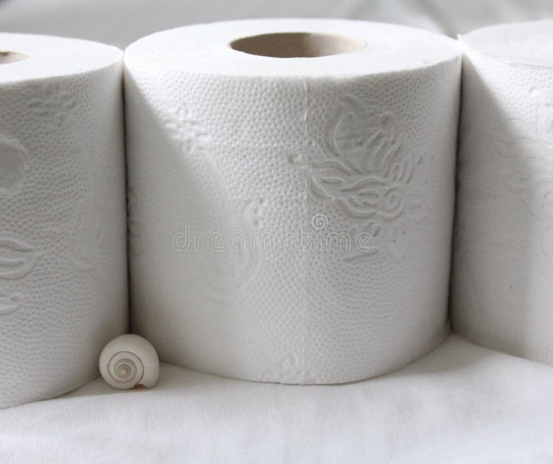 Toilet paper stock image. Image of home, toilet, sanitation - 15941259