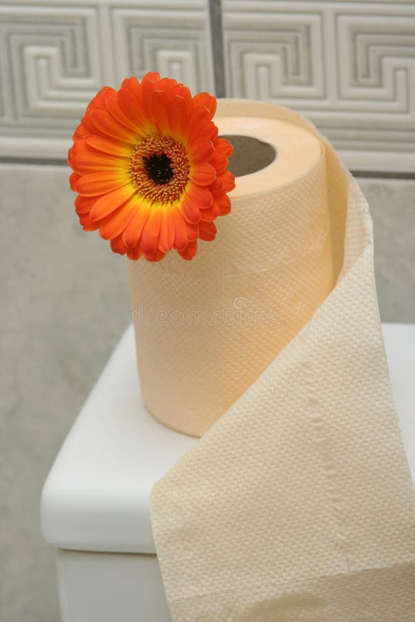 Toilet roll stock image. Image of roll, tissue, paper - 4625073