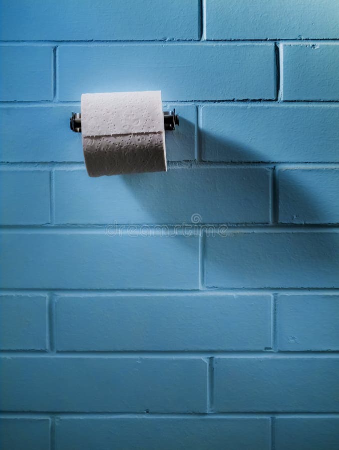 Toilet Paper Roll on Holder Attached To Brick Wall Stock Image - Image ...
