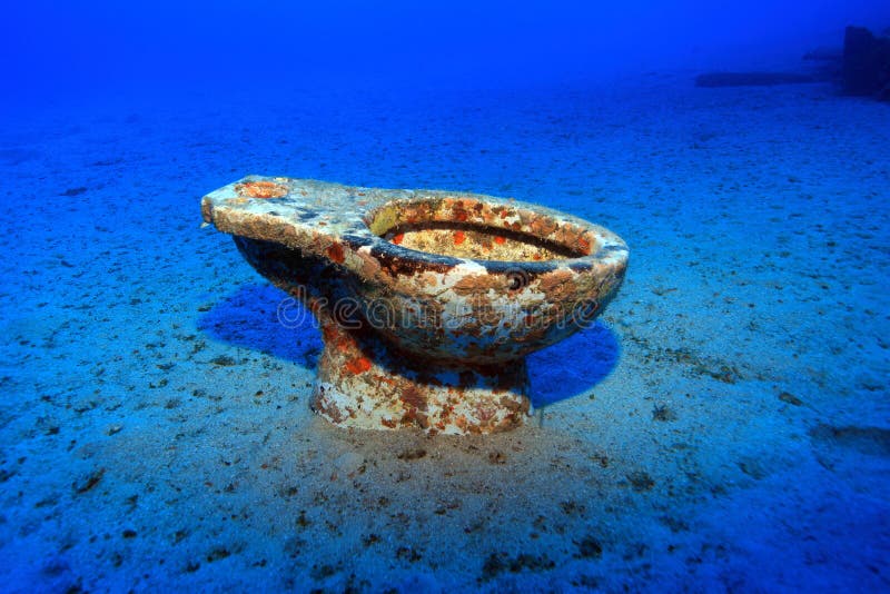 Toilet on the sea floor stock image. Image of islands - 33947057