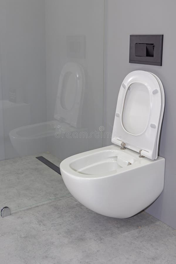 Toilet Seat Open stock image. Image of white, house - 251417177