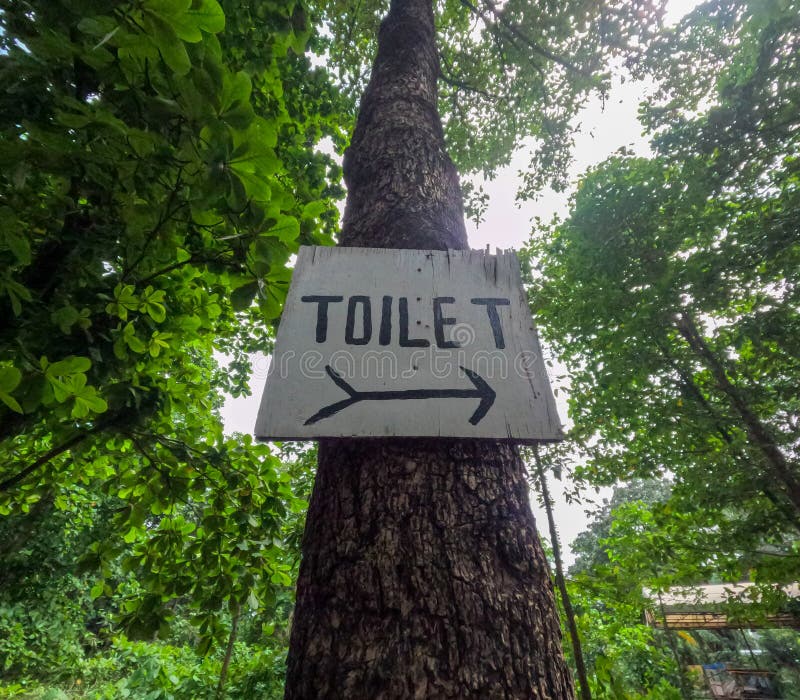 Toilet sign stock photo. Image of outdoors, human, direction - 277812758