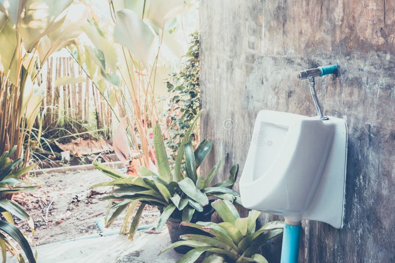 Tree Urinal in Public Toilet Stock Image - Image of closet, restroom ...