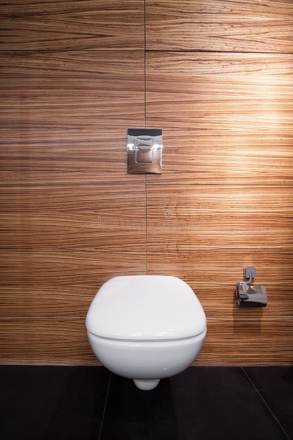 Toilet Viewed from the Front Stock Photo - Image of sophisticated ...