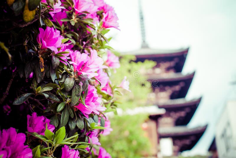Toji Temple Pagoda Tower in Kyoto Stock Image - Image of ancient ...