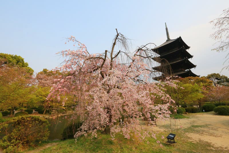 Toji Temple in Spring, Kyoto, Japan Stock Image - Image of tower ...