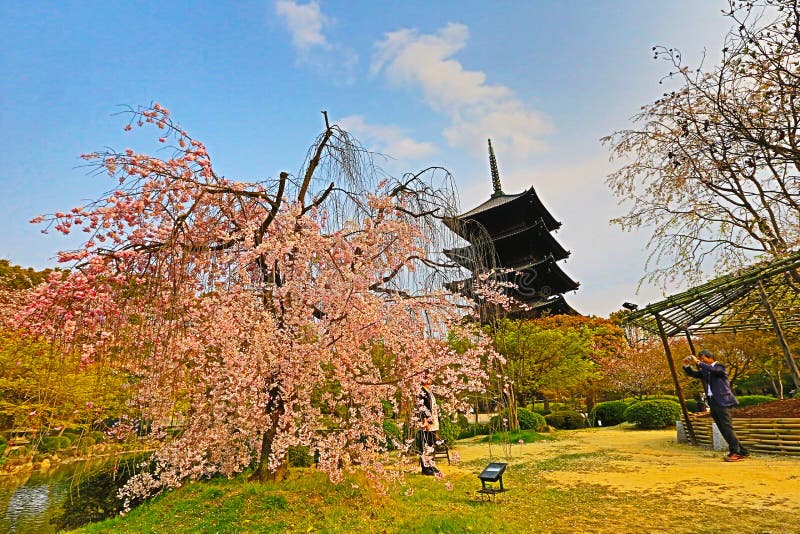Toji Temple in Spring, Kyoto, Japan Editorial Image - Image of toji ...