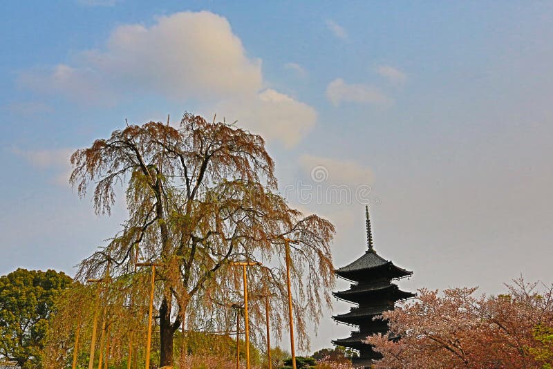 Toji Temple in Spring, Kyoto, Japan Editorial Stock Image - Image of ...