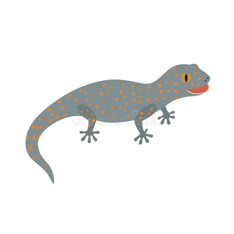 Cute Lizard Cartoon. Vector Illustration. Poster, Card for Kids Stock ...