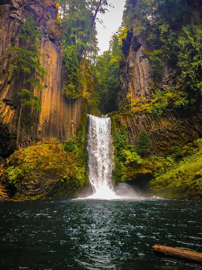 Toketee Falls in Oregon stock image. Image of rocks, water - 34618177