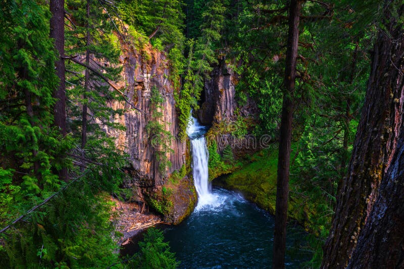 Toketee Falls in Douglas County, Oregon Stock Photo - Image of nature ... Toketee Falls in Douglas County, Oregon Stock Photo - Image of nature ...