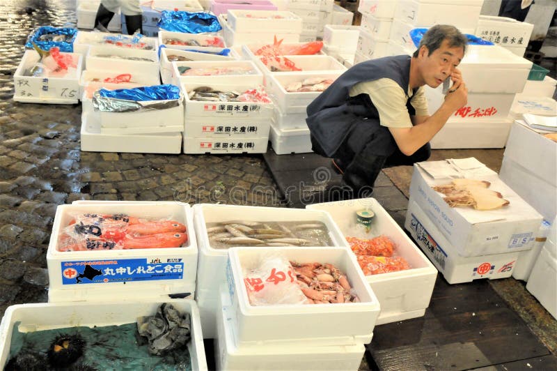Tokyo the fish market editorial stock photo. Image of city - 145174693