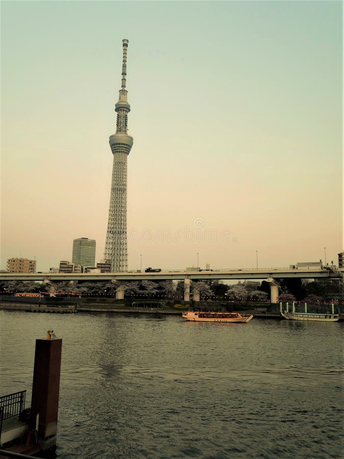 Tokyo, Japan March 25,2019 Landscape View Tokyo Sky Tree in Tokyo.View ...