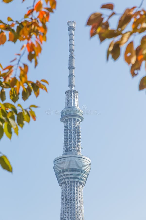 Tokyo, Japan - November 14, 2016,Tokyo Sky Tree. Editorial Image ...