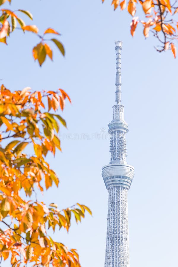 Tokyo, Japan - November 14, 2016,Tokyo Sky Tree. Editorial Photo ...