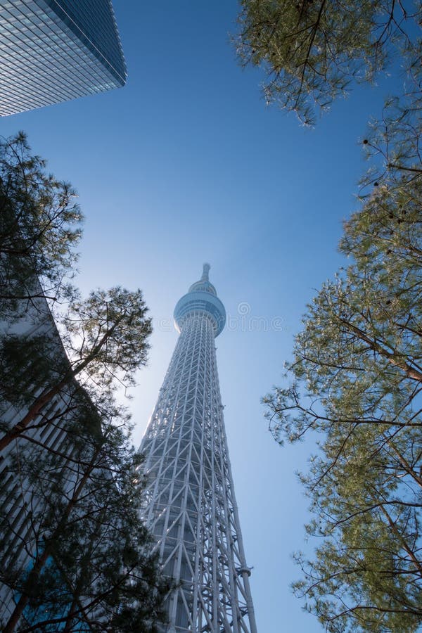 Tokyo sky tree editorial image. Image of metropolitan - 54246565