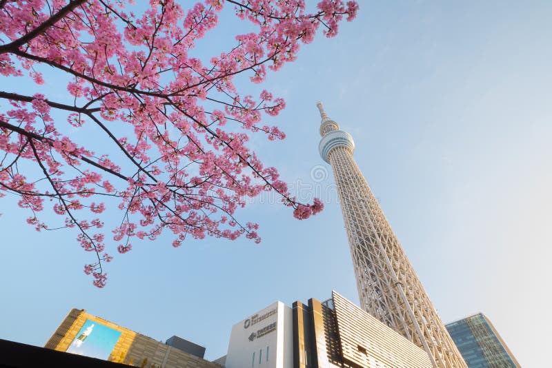 Tokyo Sky Tree editorial photography. Image of floral - 87518452