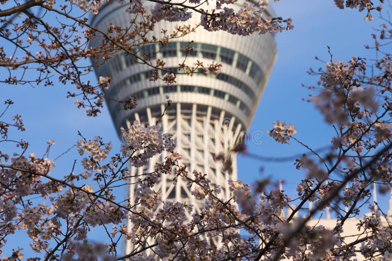 Tokyo Sky Tree editorial photography. Image of kanto - 91971812