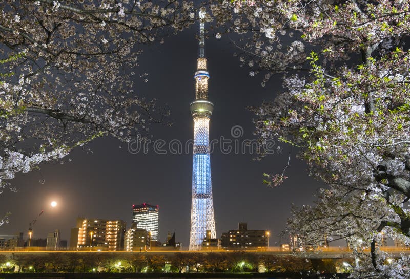 Tokyo Sky Tree editorial stock photo. Image of city, natural - 91971773
