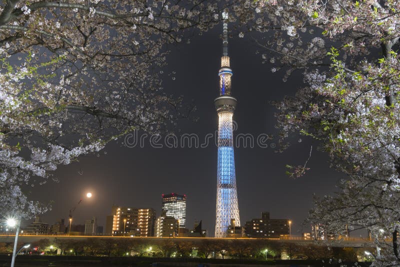 Tokyo Sky Tree editorial stock photo. Image of landmark - 91971798