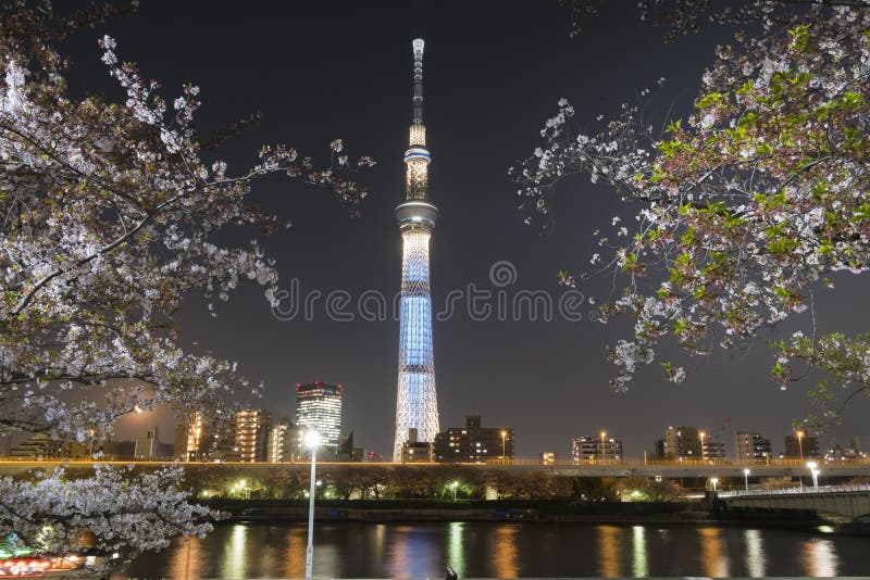 Tokyo Sky Tree editorial stock photo. Image of attraction - 91971818