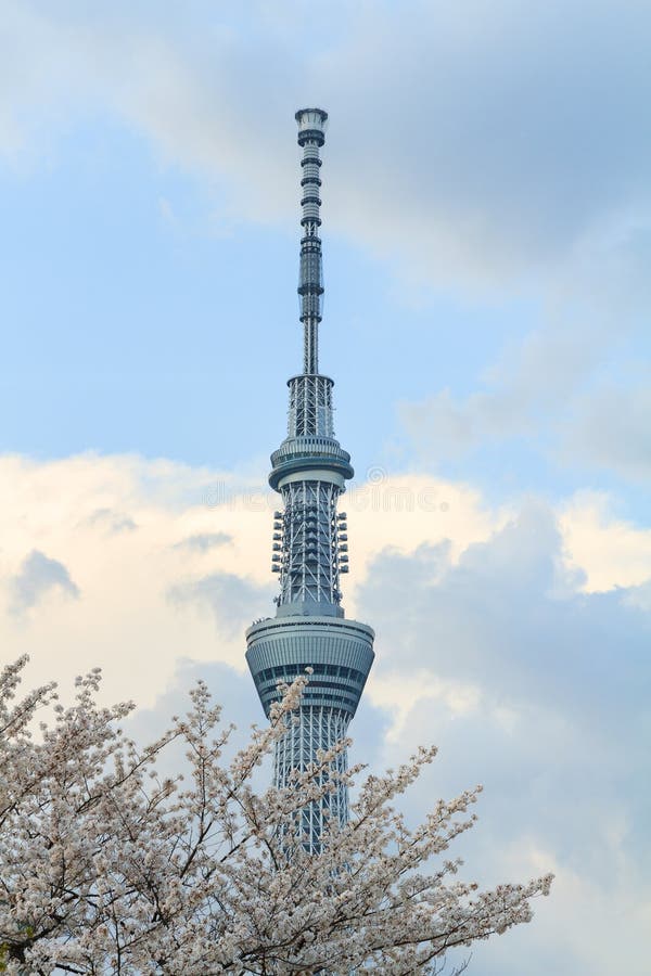 Tokyo Sky Tree, Japan editorial stock photo. Image of steel - 67190443