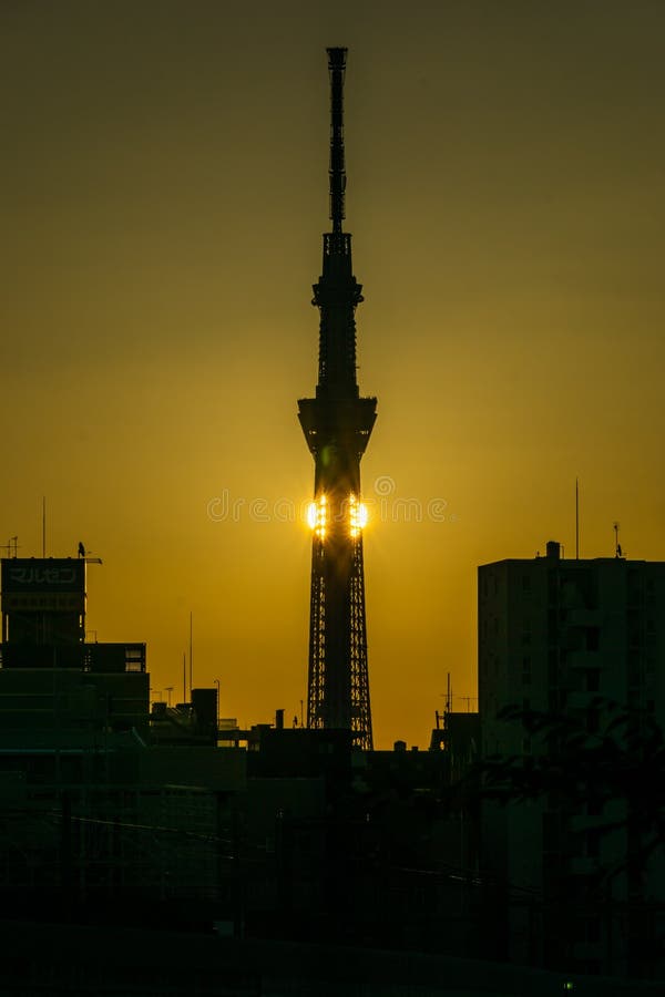 Tokyo Sky Tree landscape editorial image. Image of light - 175381485
