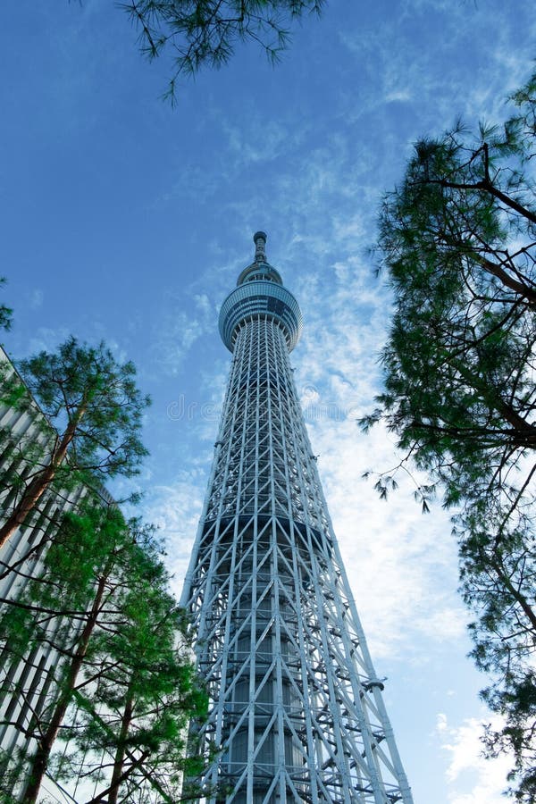 Tokyo Sky Tree Look from Below Editorial Photo - Image of park, trees ...