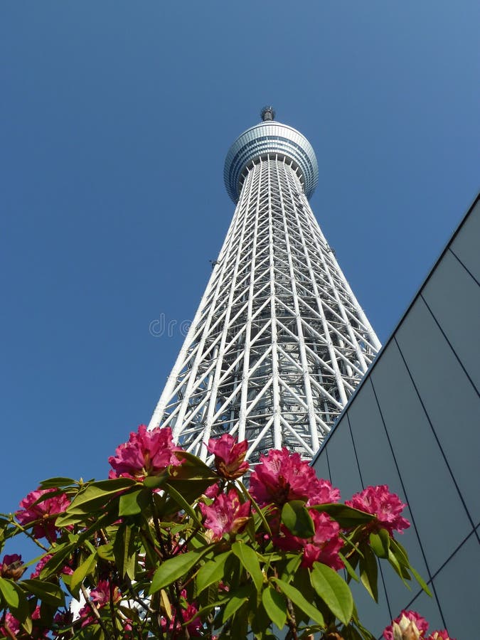Tokyo Sky Tree and Red Flower Editorial Stock Image - Image of tree ...